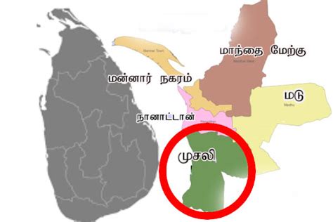 மக்கள் காணிகள் தற்போது வனஜீவராசிகள் மற்றும் வன பரிபாலனத்