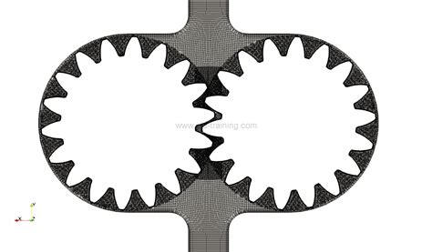 Openfoam® Tutorial Gear Pump And Overset Method Cfd Training