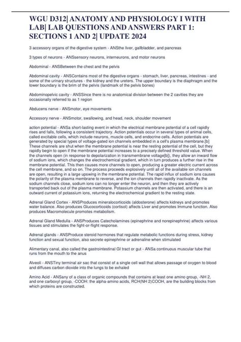 Wgu D312 Anatomy And Physiology I With Lab Lab Questions And Answers Part 1 Sections 1 And 2