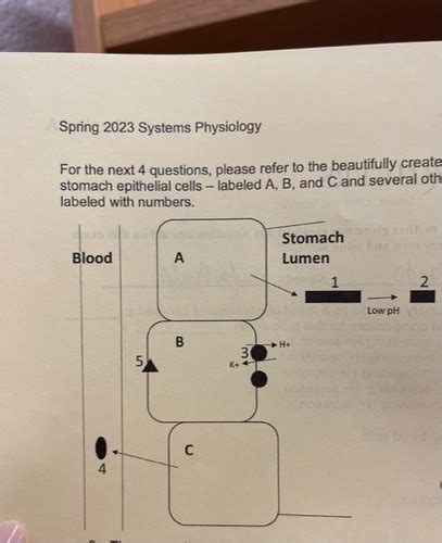Systems Final Exam Flashcards Quizlet