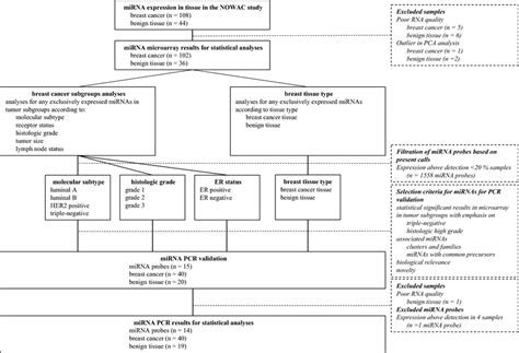 Study Schema For The Analyses Of MiRNA Expression In Tissues The Download Scientific Diagram