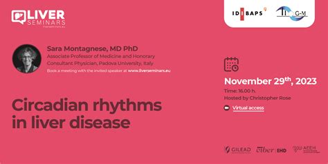 Liver Seminars Circadian Rhythms In Liver Disease