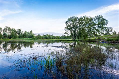 Canoeing On The Kleine Nete Freeranger Canoe