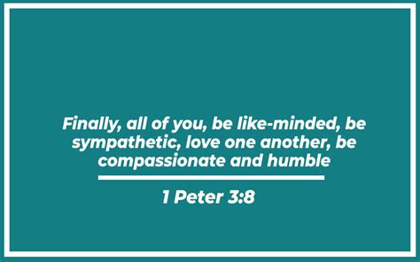 31 Bible Verses On Empathy With Related Verses Christianity Path