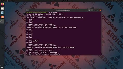 Основы Python для программируемых сетей и систем — типы данных Devops