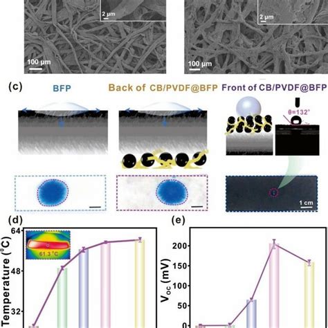 Optimization Of CB PVDF BFP Platform SEM Images Of The Surface Of A Download Scientific