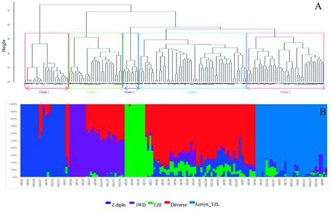 A Hierarchical Cluster Analysis Based The Genotypic Data Using