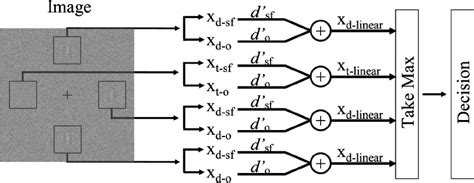 Linear Summation Model A Trial From A Two Feature Task Difference In