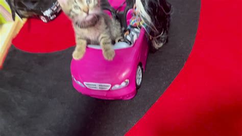 Taxi Driver 🤪 Scrolller