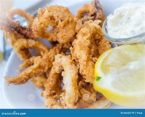 Deep Fried Calamari Stock Image Image Of Europe Calamari 66436779