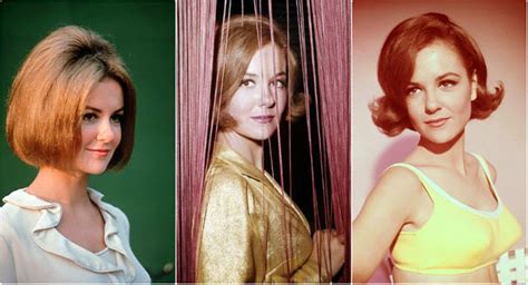 40 Beautiful Photos Of Shelley Fabares In The 1960s Vintage News Daily