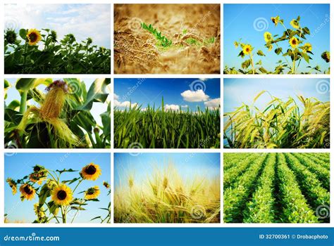 Different Types Of Agricultural Fields At Ethan Fuhrman Blog