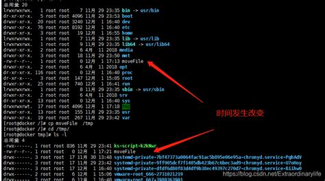 Linux 复制、移动目录、修改文件名、通配符、批量处理将文件移到根目录下并改名 Csdn博客