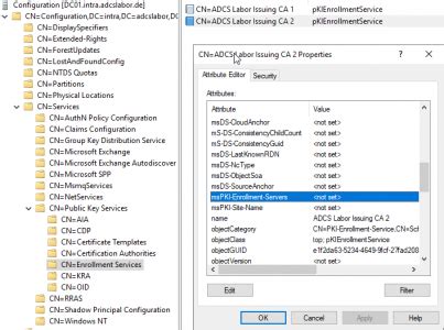 Requesting A Certificate Via The Certificate Enrollment Policy Web Service CEP Fails With