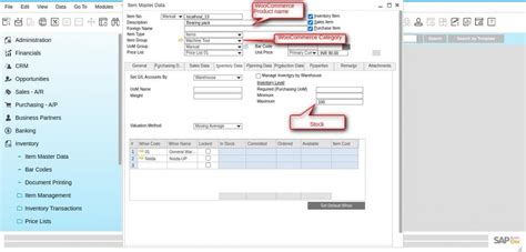 SAP Business One Connector For WooCommerce CRM Integration WebKul