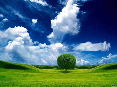 50 Beautiful Nature Photography Examples From Famous Photographers