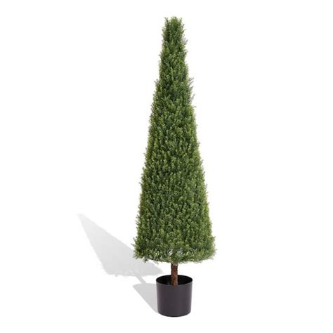 Miscool Avex 5 Ft Artificial Boxwood Disassemblable Conical Tree In Pot Aph10q279019 The Home
