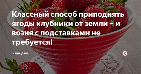 Классный способ приподнять ягоды клубники от земли и возня с подставками не требуется Наша