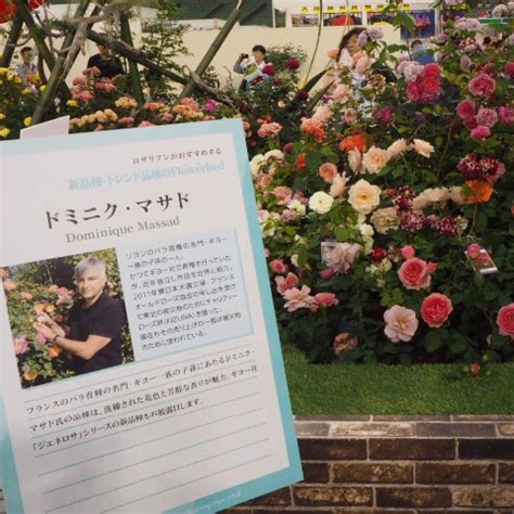 ㊗ベル・デ・セゴサが堂々の一位に！ バラ
