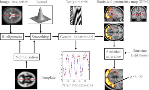 Figure 1 From Statistical Parametric Mapping Semantic Scholar
