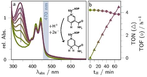 Normalized Absorption Spectrum Of Rh Iii Phenper A Green 5 µm And