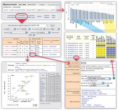 Figure 3 From Mouse Phenome Database Mpd Semantic Scholar