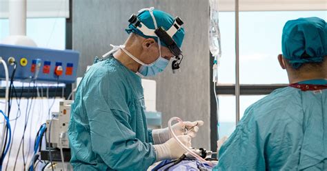 Sigmoid Colectomy What To Expect Recovery And More