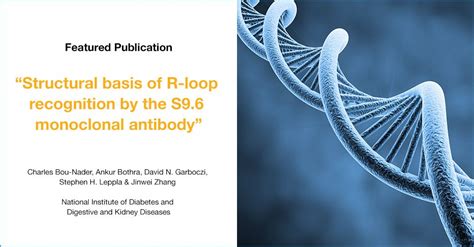 wyatt technology on linkedin structural basis of r loop recognition by the s9 6 monoclonal