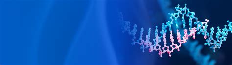 How To Use Ligand Binding Assays Lba For Dmpk Quantitative Analysis Of Oligonucleotide Wuxi