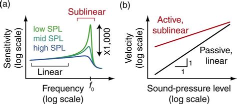 Schematic Diagrams Characterizing Compressive Nonlinearity A The Download Scientific Diagram