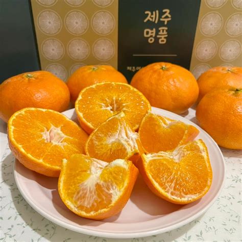 제주 농장 직송 레드향 선물세트 과일파밍 네이버 블로그