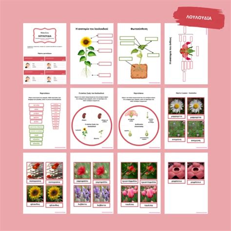 Τα έντομα στο νηπιαγωγείο Πλήρες εκπαιδευτικό υλικό