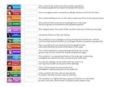 Hair And Scalp Disorders Match Up
