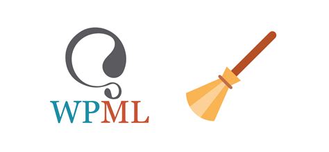 Deleting Unused Wpml Translation Strings Without Wp Cli