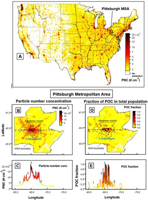 Spatial Distribution Of PNC And Racial Ethnic Demographic Data A Download Scientific Diagram