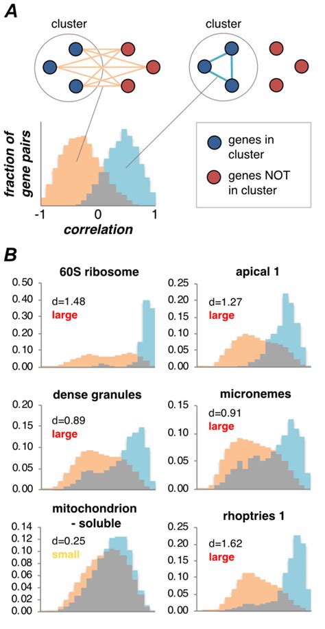 Correlation Of Gene Expression Patterns Within Subcellular Download Scientific Diagram