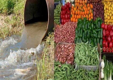 ري مزروعات لبنان بمياه ملوثةما مدى صحته وهل تصلح للأكل؟