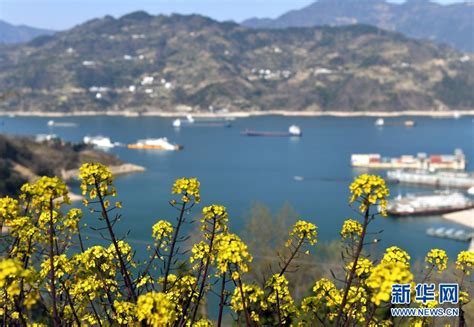 春花烂漫映峡江 天山网 新疆新闻门户
