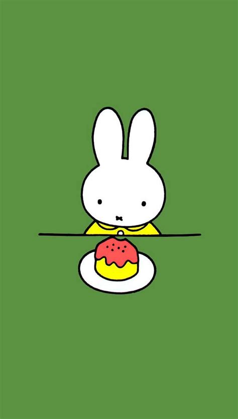 Miffy Wallpapers Wallpaper Cave