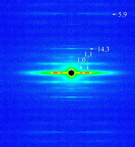 2d X Ray Diffraction Patterns From High Ca Rigor Fibers Obtained Download Scientific Diagram