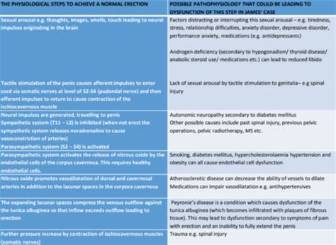 Mens Health Flashcards Quizlet