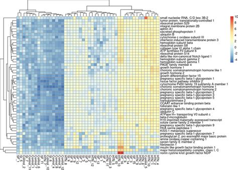 Log Transcript Counts Of The 50 Genes With The Most Variance In The