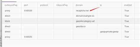 Bug 问题如何配置白名单强制走proxy Issue dust v rayN GitHub