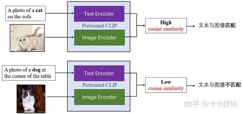 多模态 Multi Modal