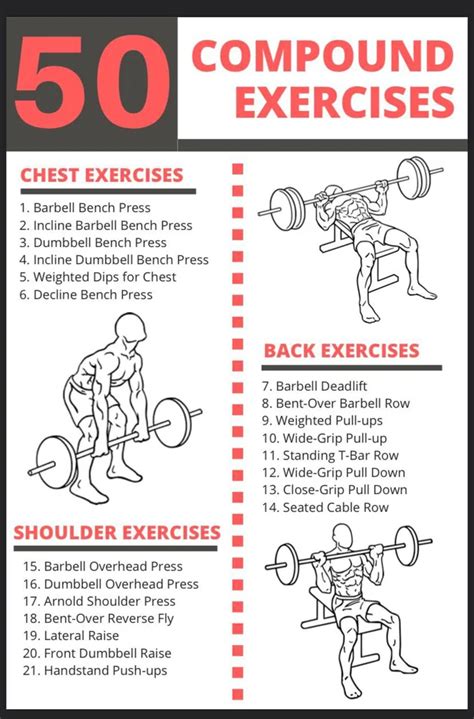 Compound Back Exercises Artofit