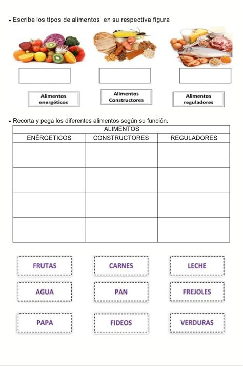 7 Ideas De ClasificaciÓn De Los Alimentos SegÚn Su FunciÓn En 2025