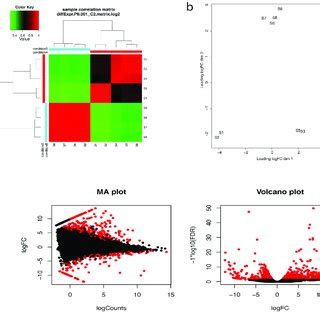 A Correlation Matrix Showing Relationship Between All Samples As Well Download Scientific