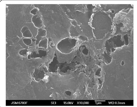 The Microstructure Of The Ncm Surface Download Scientific Diagram