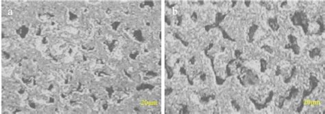 Tensile Fracture Morphology Of The Brazed Joints Comprising A Download Scientific Diagram