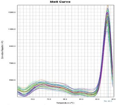 Melting Curve Analysis To Ensure The Specificity Of The Amplified Download Scientific Diagram